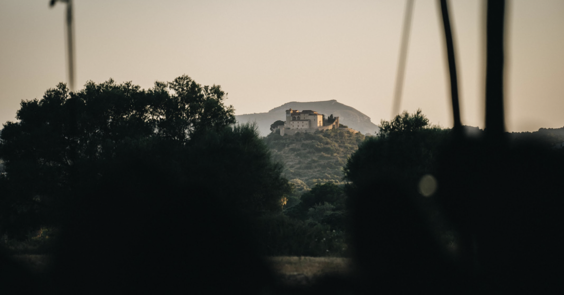 Tranquil Meditation Retreat in Mallorca for Inner Discovery · The Sybarite