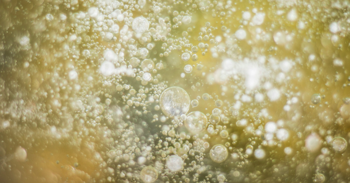 How to Make Champagne: A Simple Guide to Crafting Bubbly Bliss · The ...